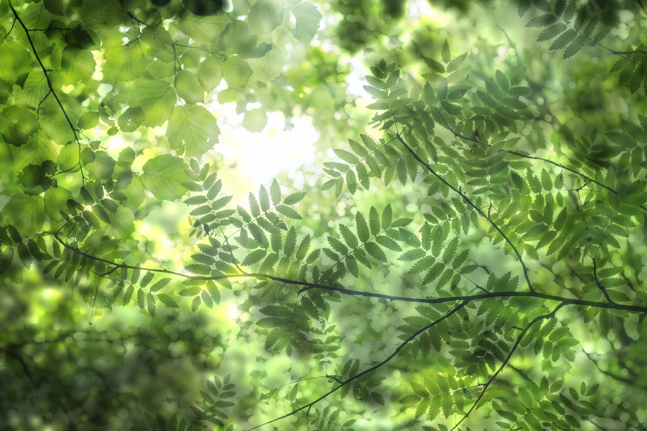 Sustainability Targets › HEXPOL - A Material Difference